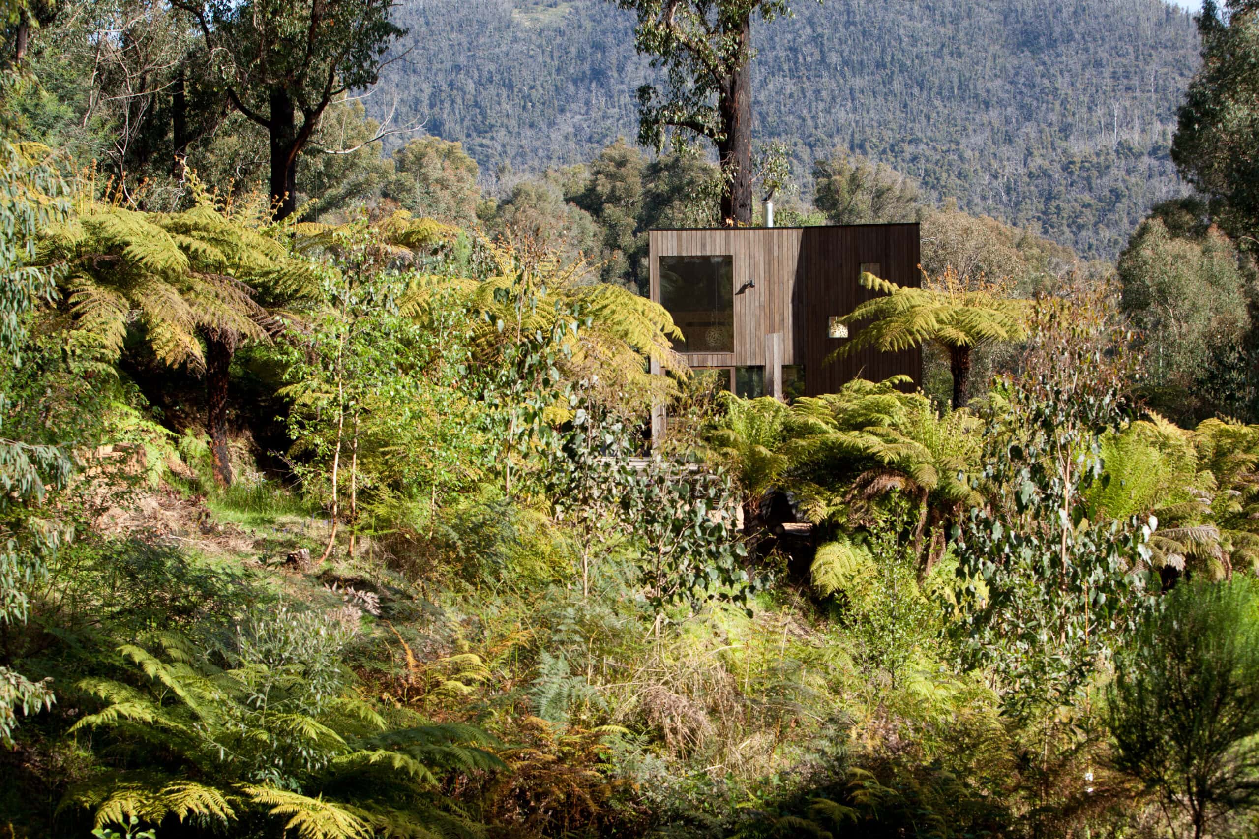 Living In The Landscape By Steffen Welsch Architects