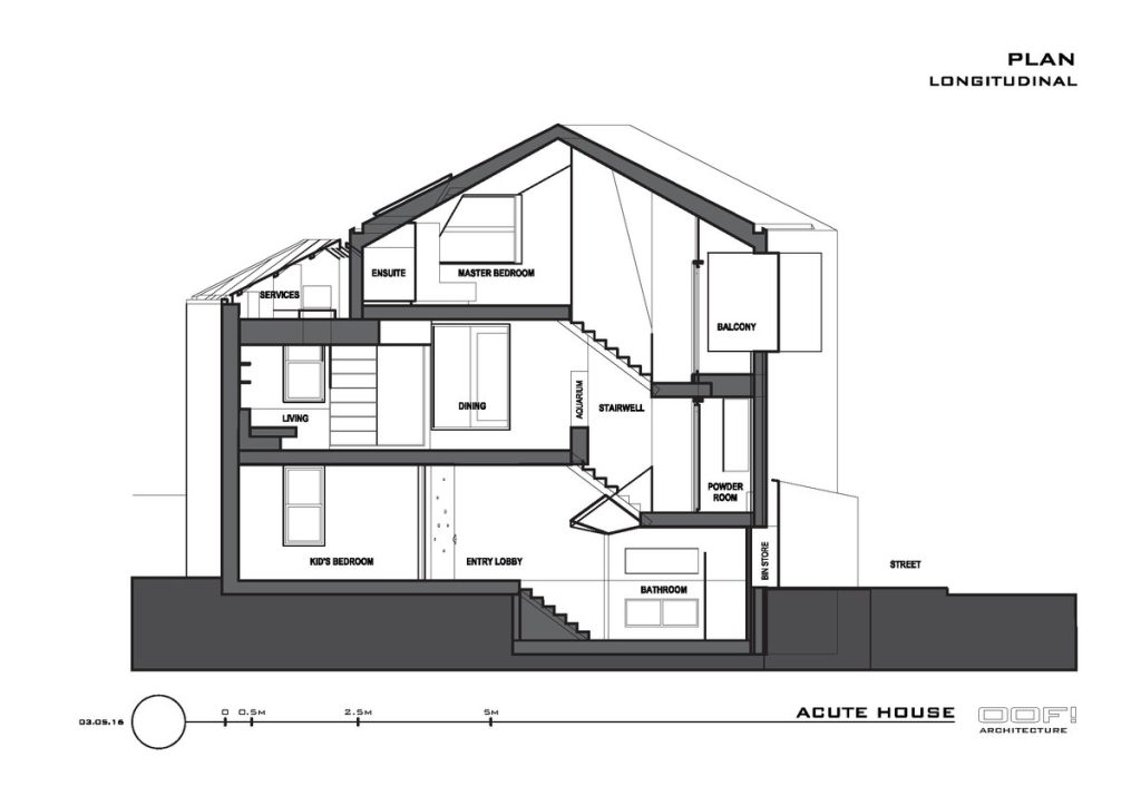 Acute House