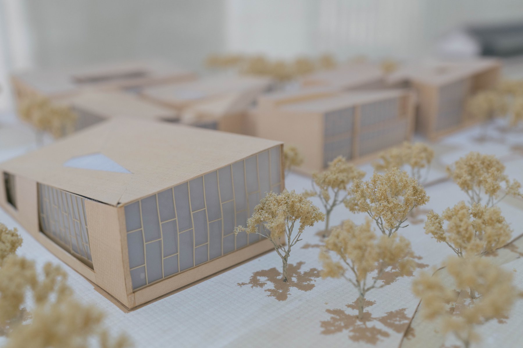 Shape The Future Of Architecture | Royal Institute Of British Architects